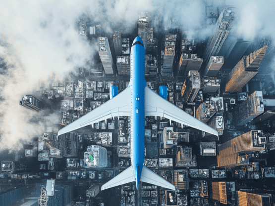 Delta Airline Pet Policy (2025) : Guidelines & Requirements