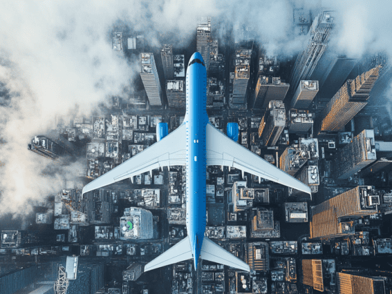 Delta Airline Pet Policy (2025) : Guidelines & Requirements