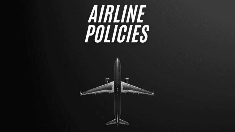Delta Airline Pet Policy (2025) | Airline Policies